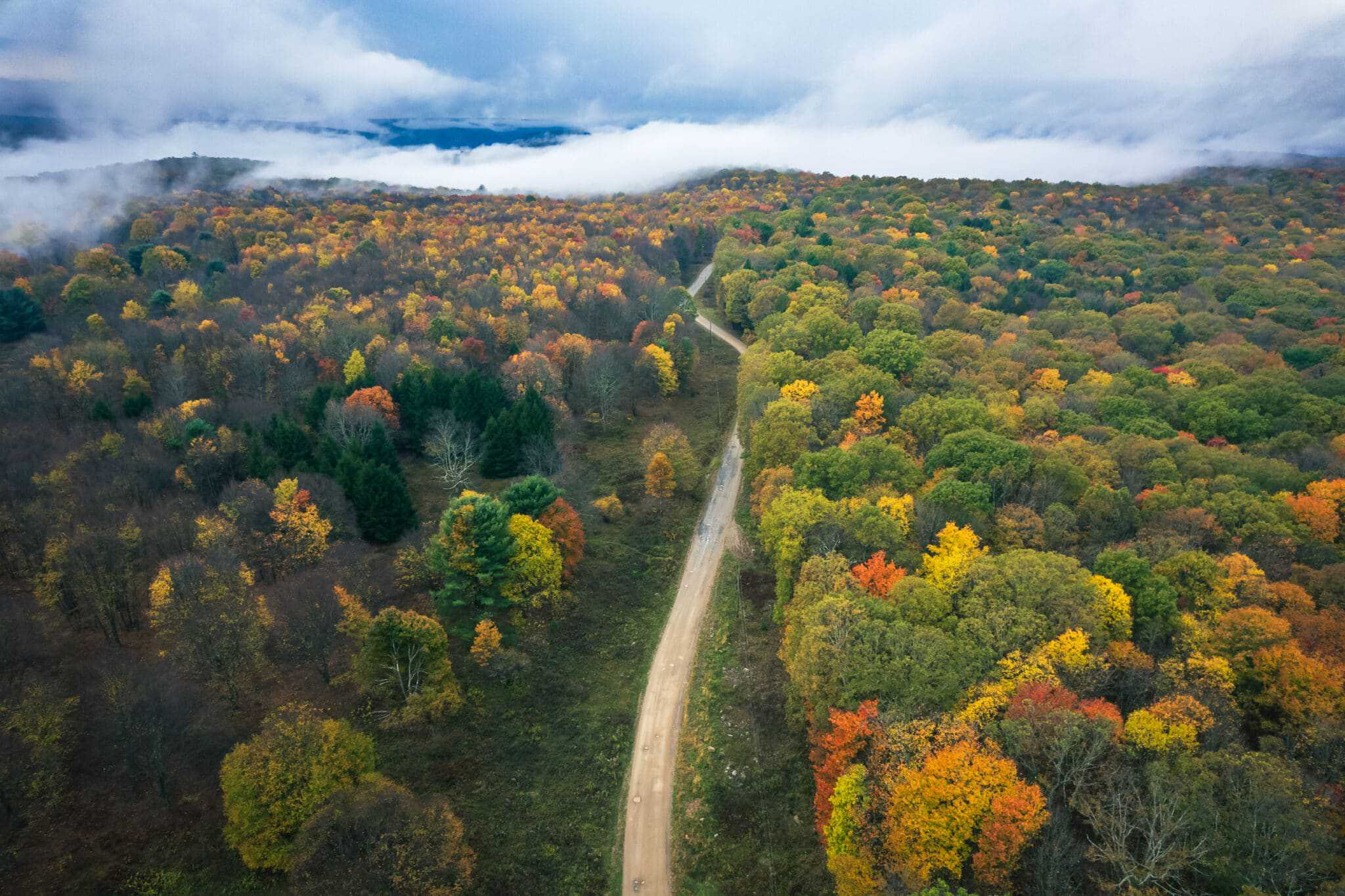 How to Find the Best Fall Foliage in PA - Wild Precious Now